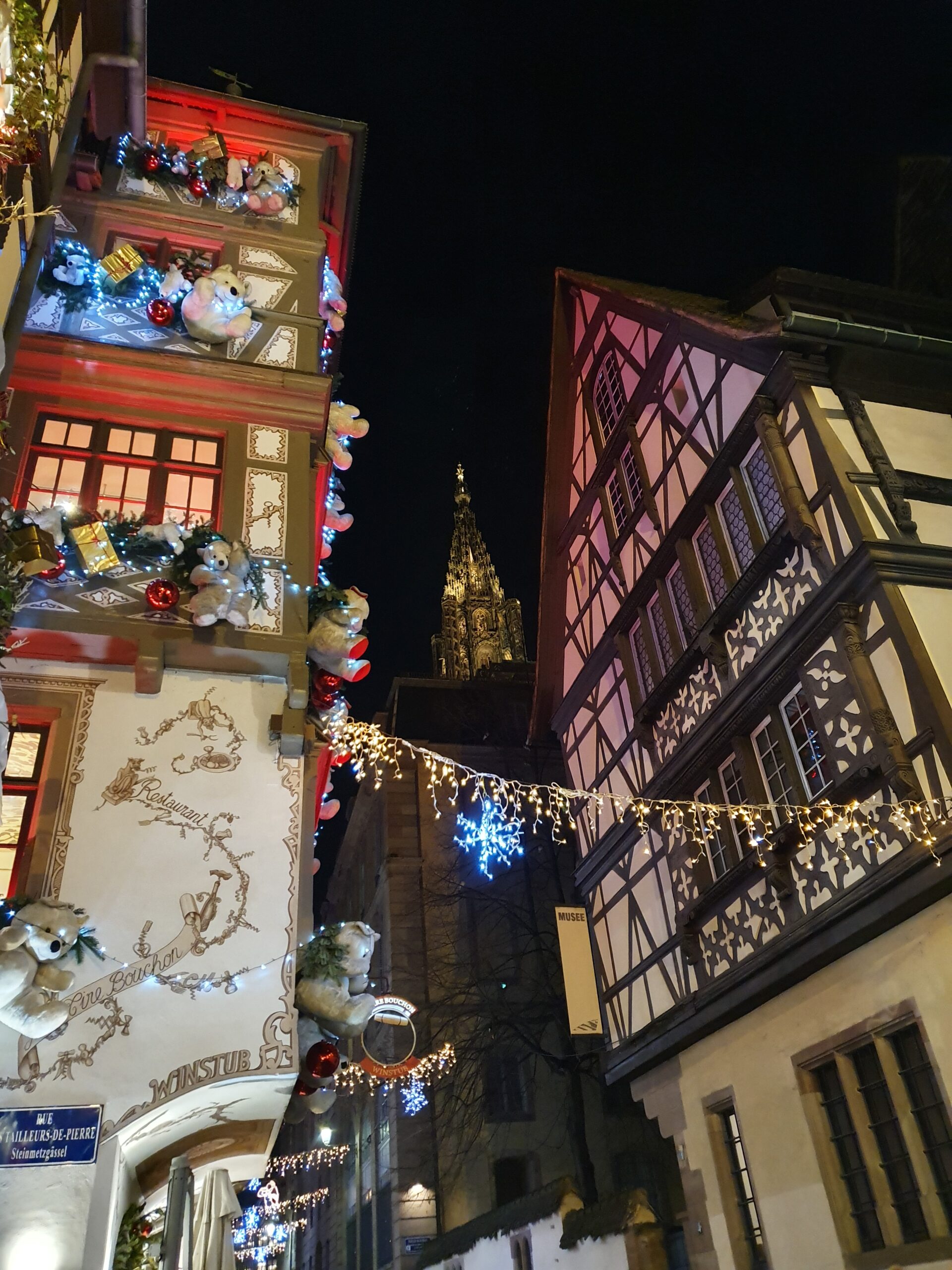 Alsace: son patrimoine, ses traditions et… ses cigognes – Les ...