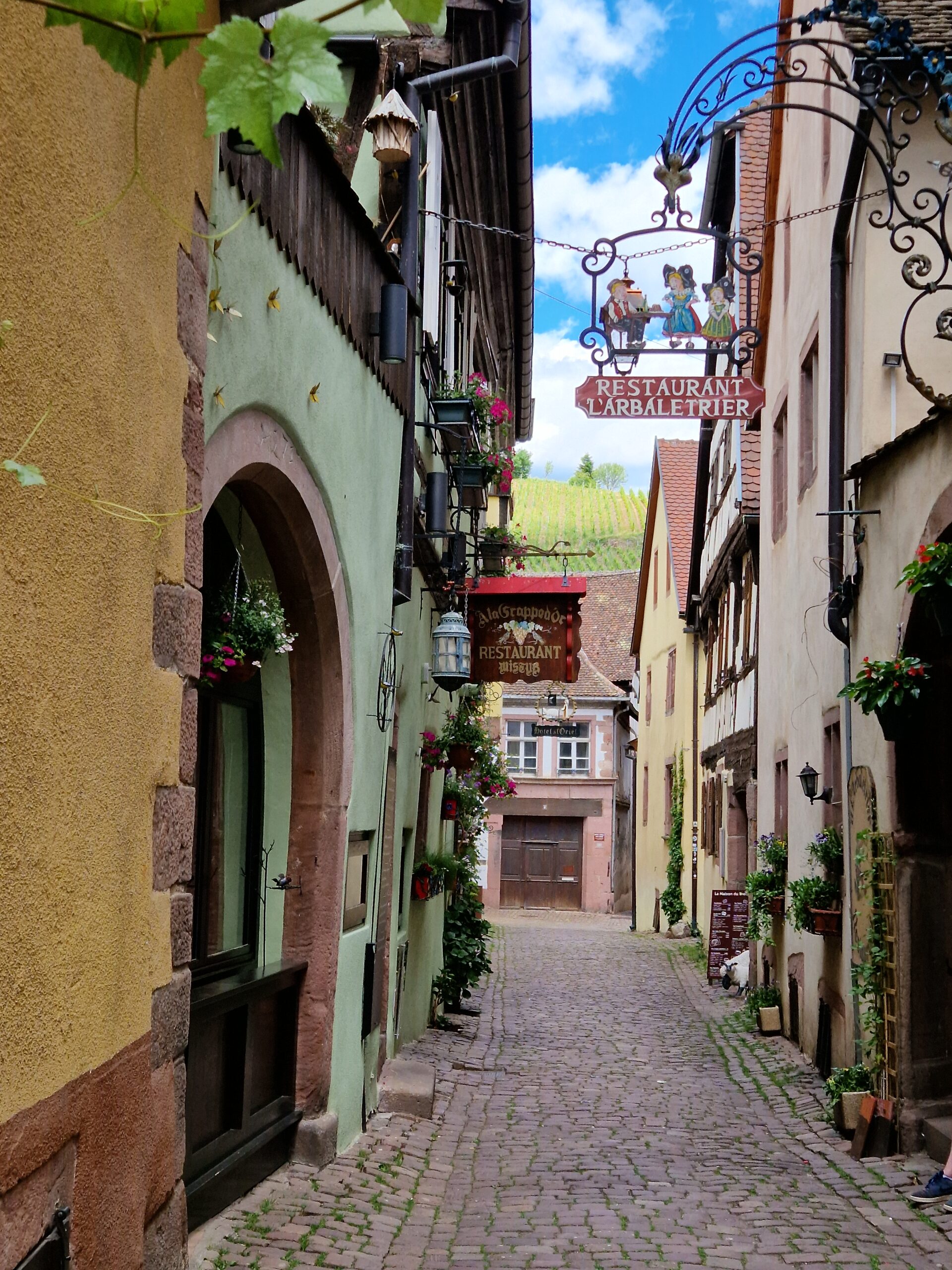 Alsace: son patrimoine, ses traditions et… ses cigognes – Les ...